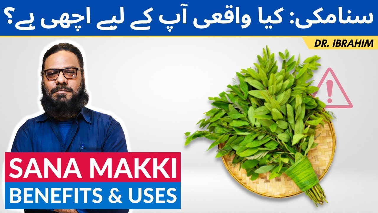 Sana Makki Ke Fawaid Senna Leaves Benefits Indian Senna Urdu Hindi