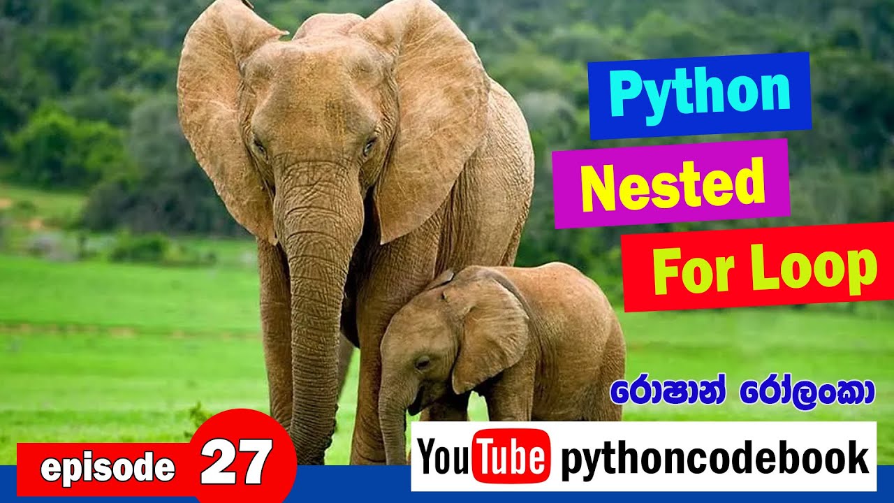 Episode 27 Python Nested For Loop Sinhala Youtube