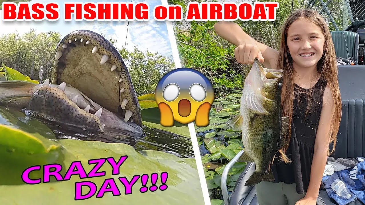 Airboat Bass Fishing The Florida Everglades Youtube