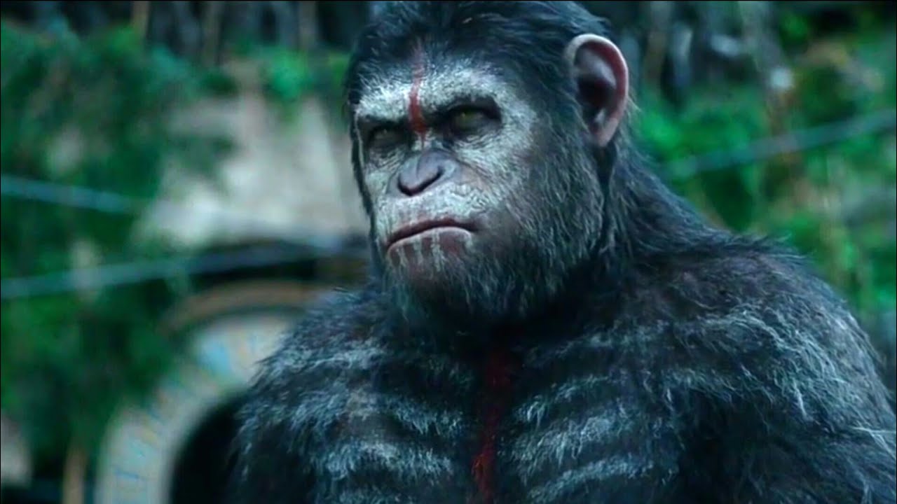 Zira Planeta Dos Macacos