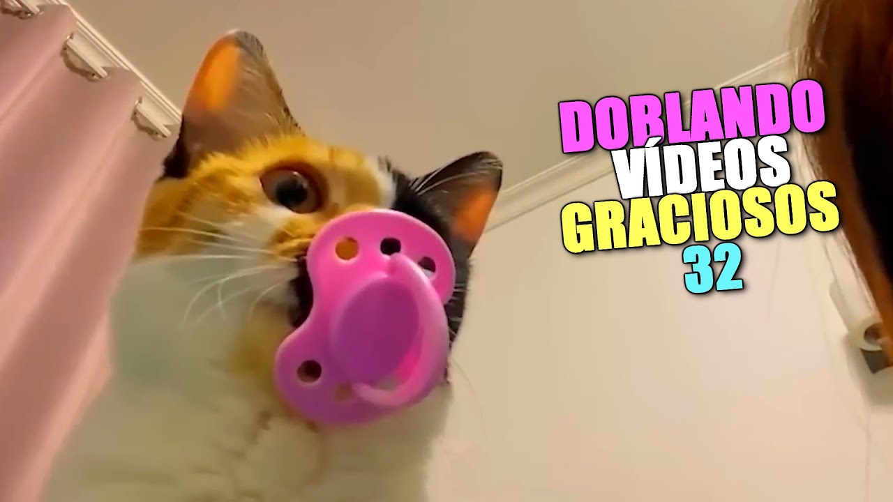 Doblando Vídeos Graciosos 32 Youtube