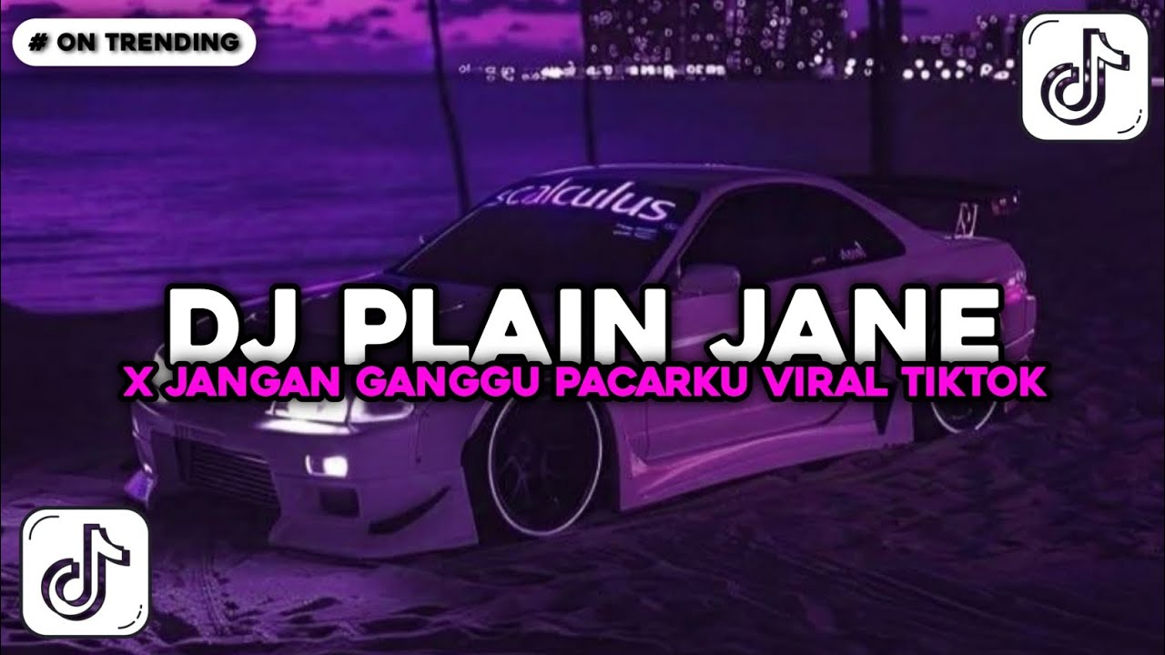 Dj Plain Jane X Jangan Ganggu Pacarku Yang Lagi Viral Ditiktok