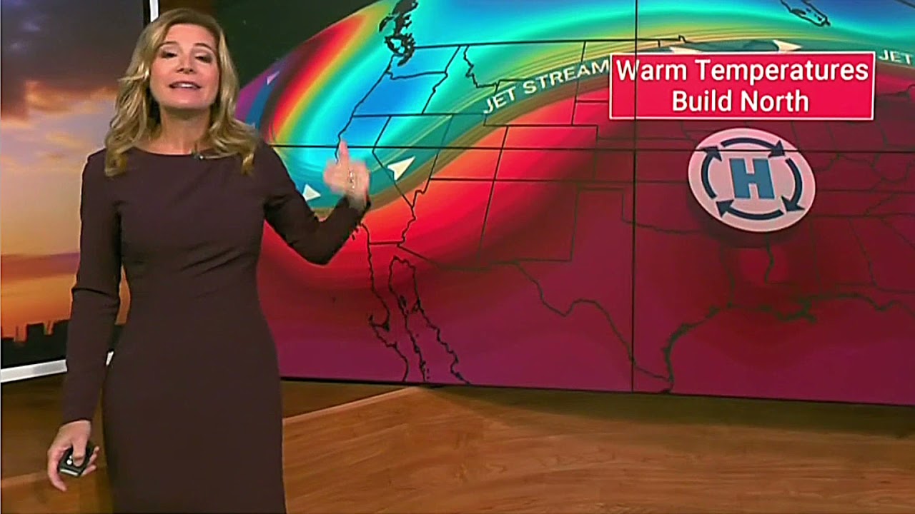 Jen Carfagno The Weather Channel Tight Purple Dress Profile View
