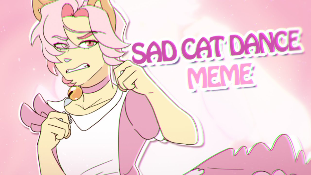 Sad Cat Dance Youtube