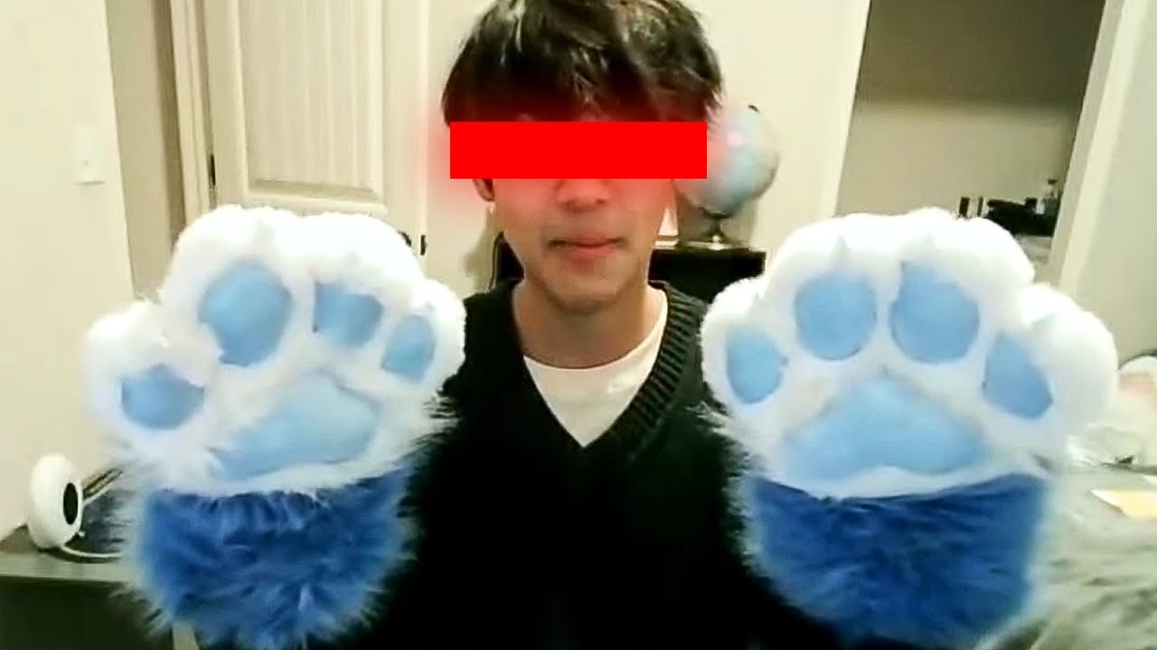 We Asked Zoink If He S Actually A Furry Youtube
