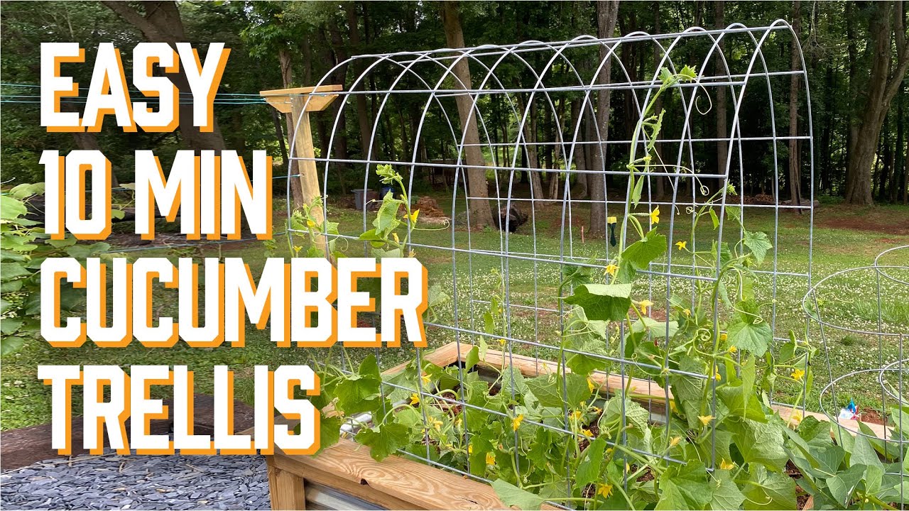 Garden Vegetable Diy Trellis Ideas