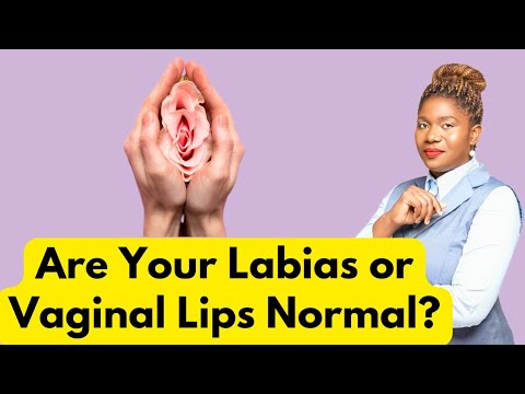 Why Vagina Lips Are Actually Normal Youtube