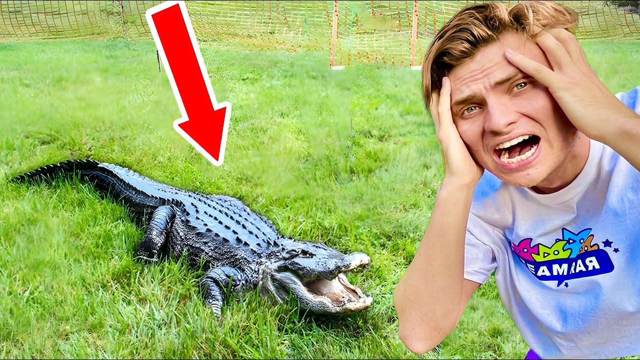 The Pond Monster Is Back Youtube