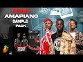 Free Amapiano Sample Pack 2025 Lowbass Shakaman Yktv Sgidongo Prod By ...