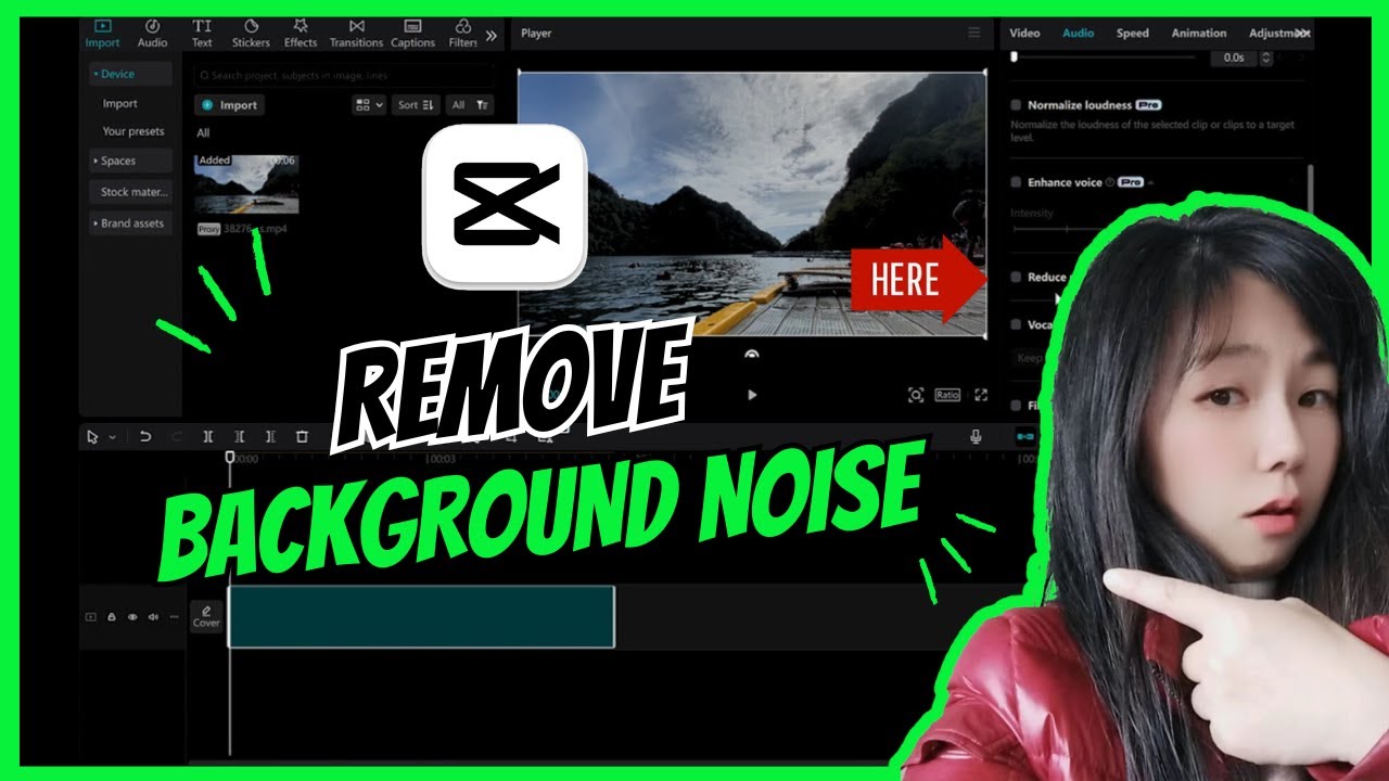 How To Remove Background Noise In Capcut Pc Pro Easy Guide Youtube