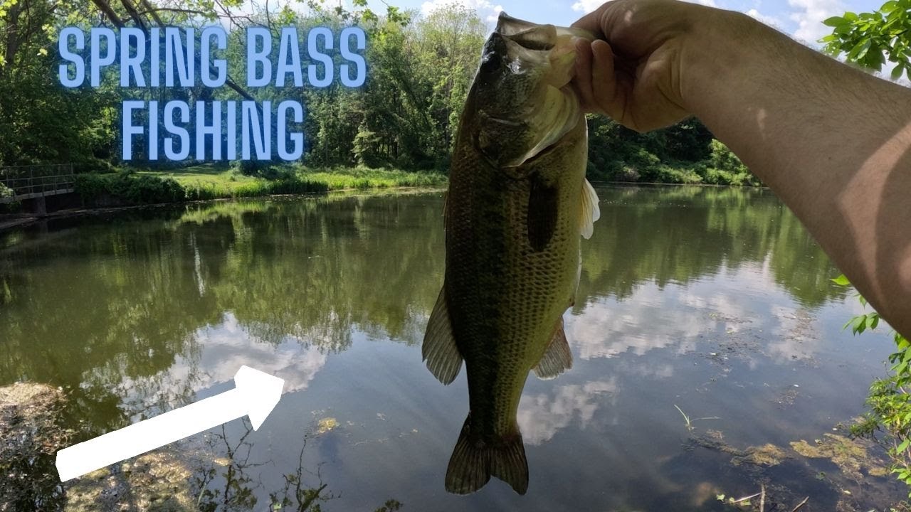 Spring Bass Fishing From Shore Youtube