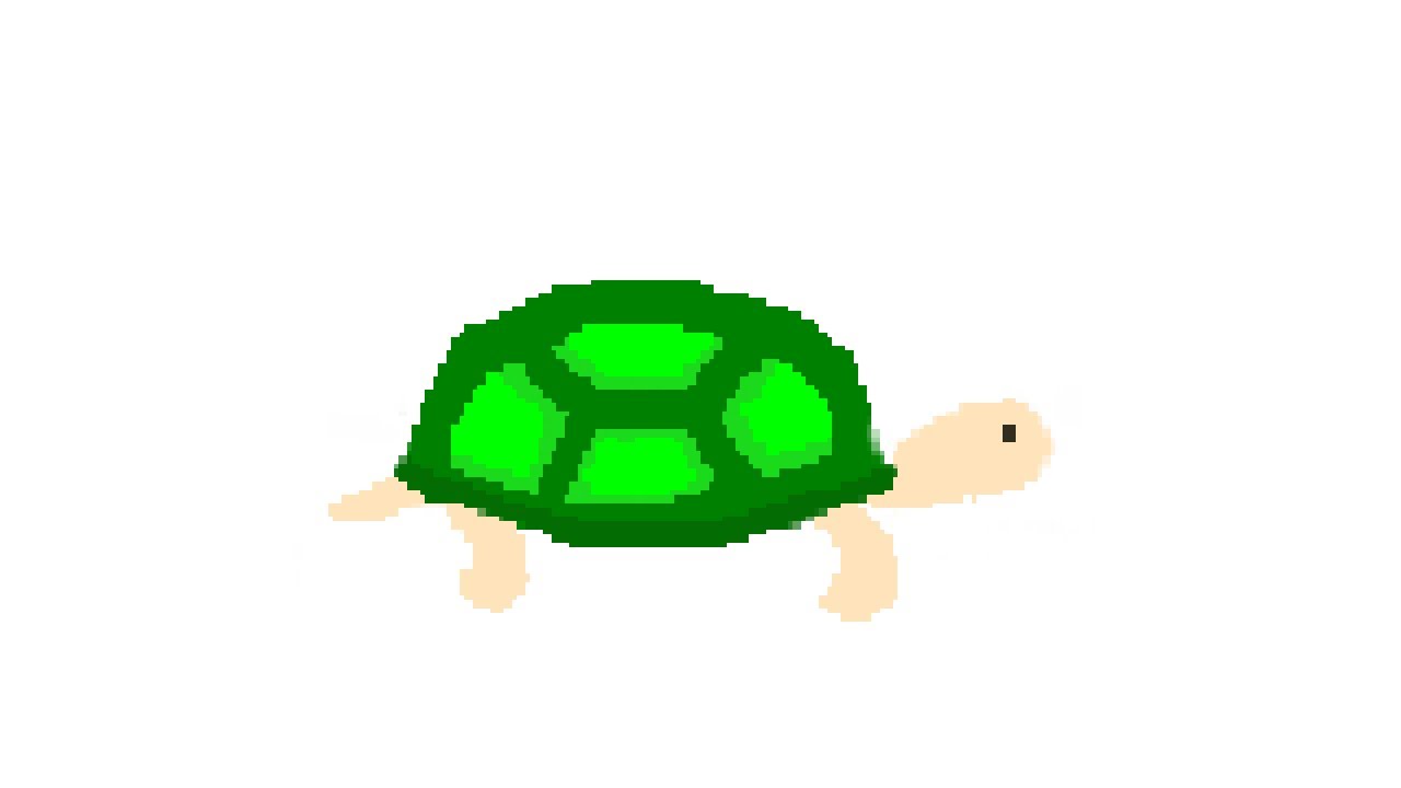 A Random Turtle Youtube
