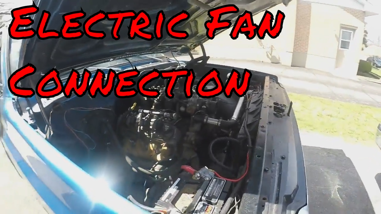 Ls Swap Electric Fan Harness At Casey Hall Blog