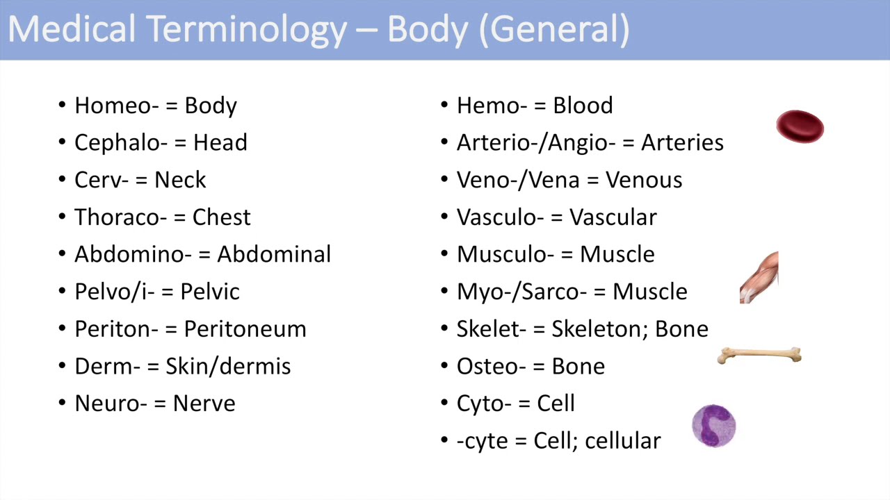Medical Terminology Is It A Science Class Get A Clear Yes No