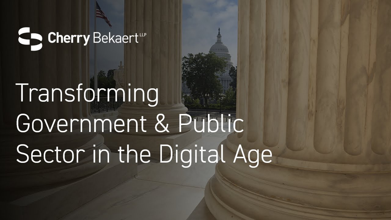 Transforming Government Public Sector In The Digital Age Youtube