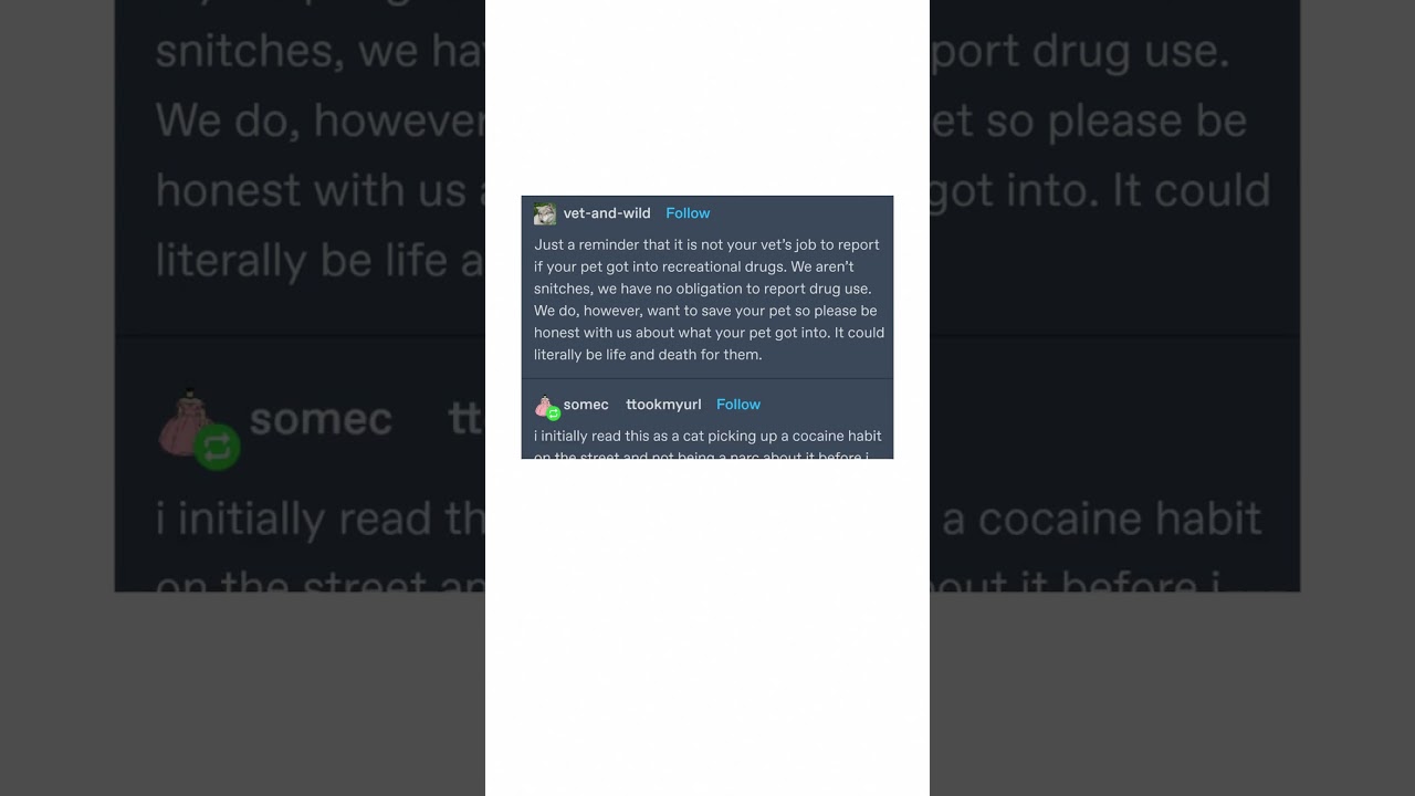 Funny Pet Tumblr Post Housepetscare