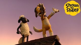 Shaun The Sheep Coconut Cartoons For Kids Full Episodes Compilation 1