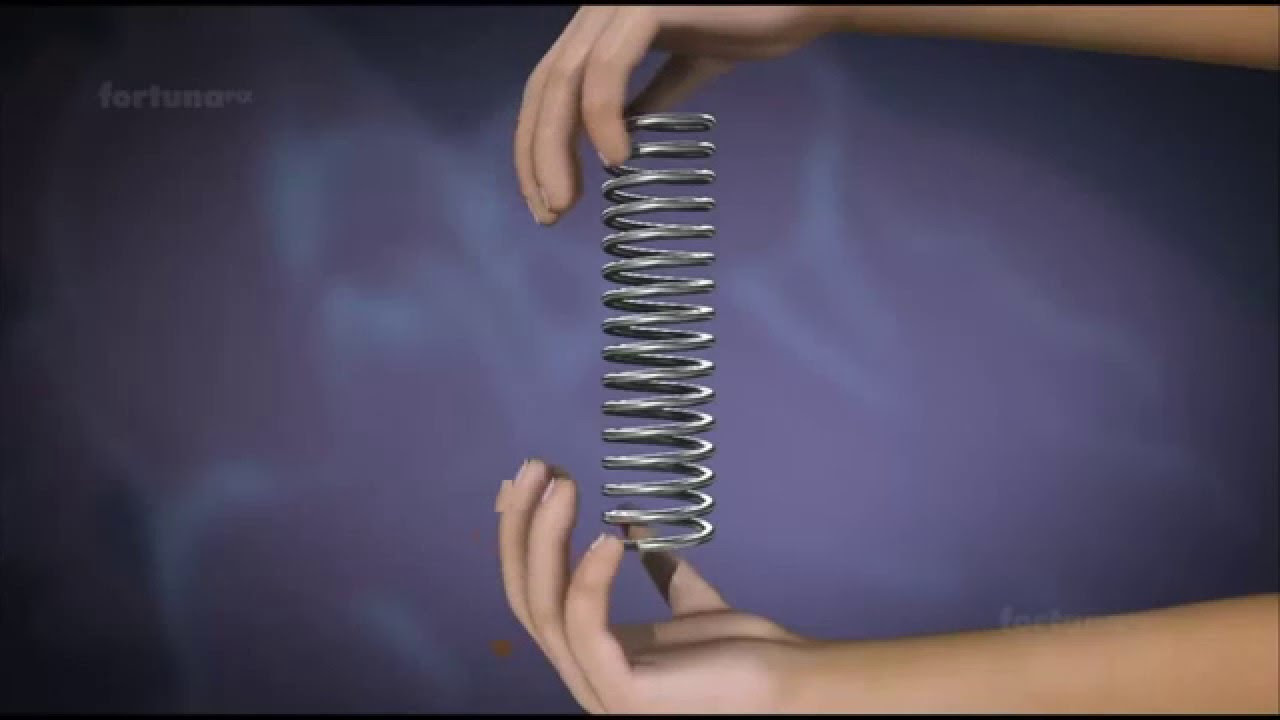 Elastic Potential Energy Examples You Won T Believe Us Sciencefix