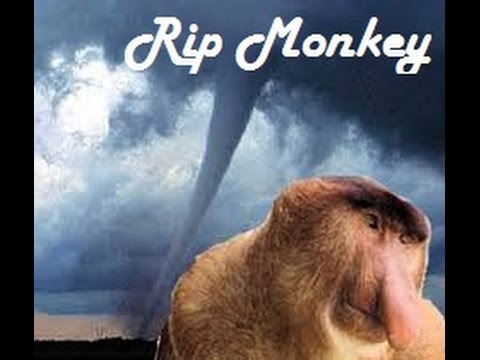 Monkey Vs Tornado Youtube