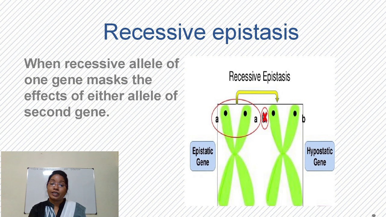 Quantitative Effect Epistasis Genetics