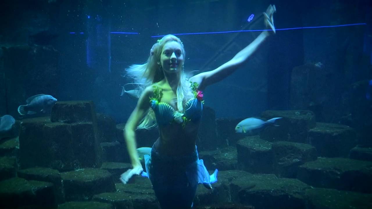 Spectacles De Sirènes Animées