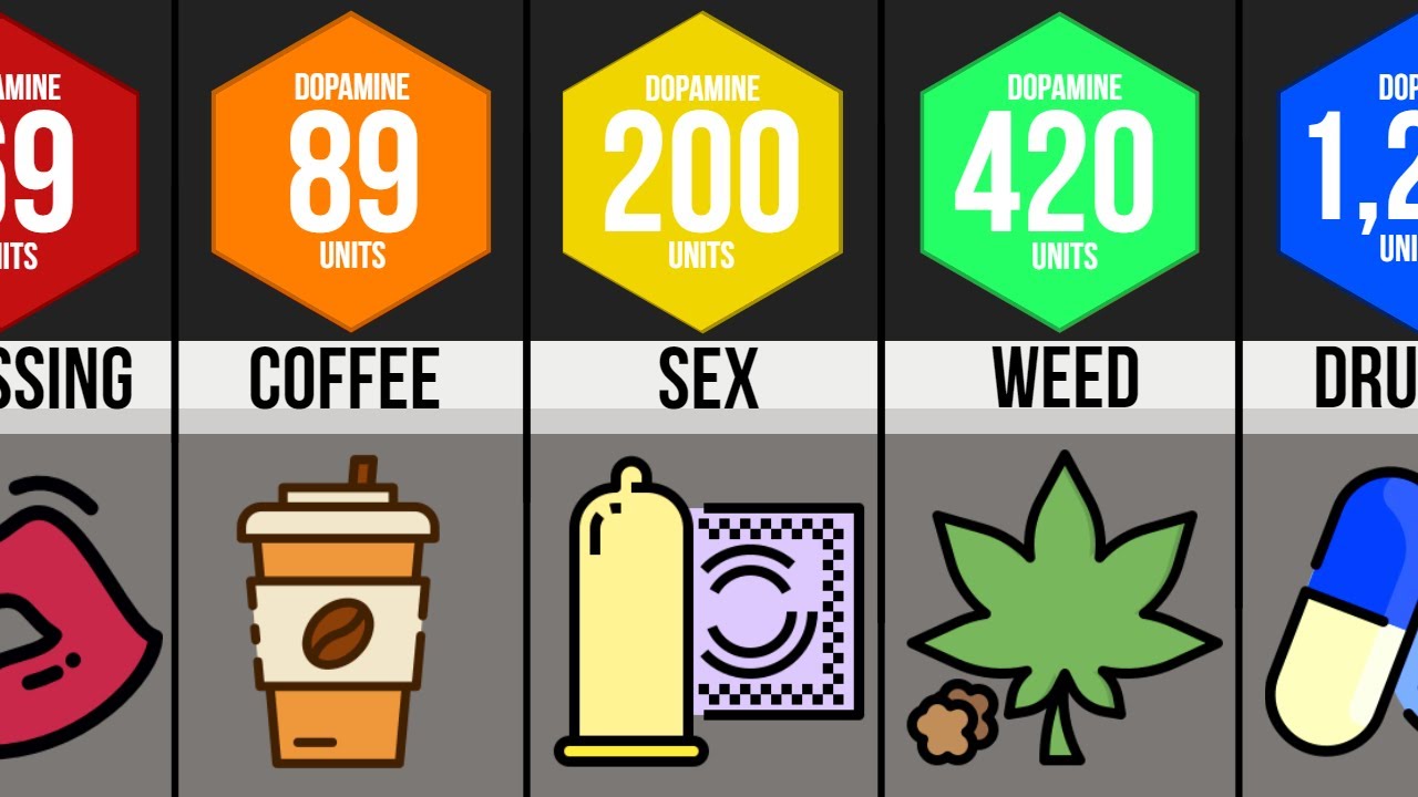 Comparison Human Pleasure Youtube