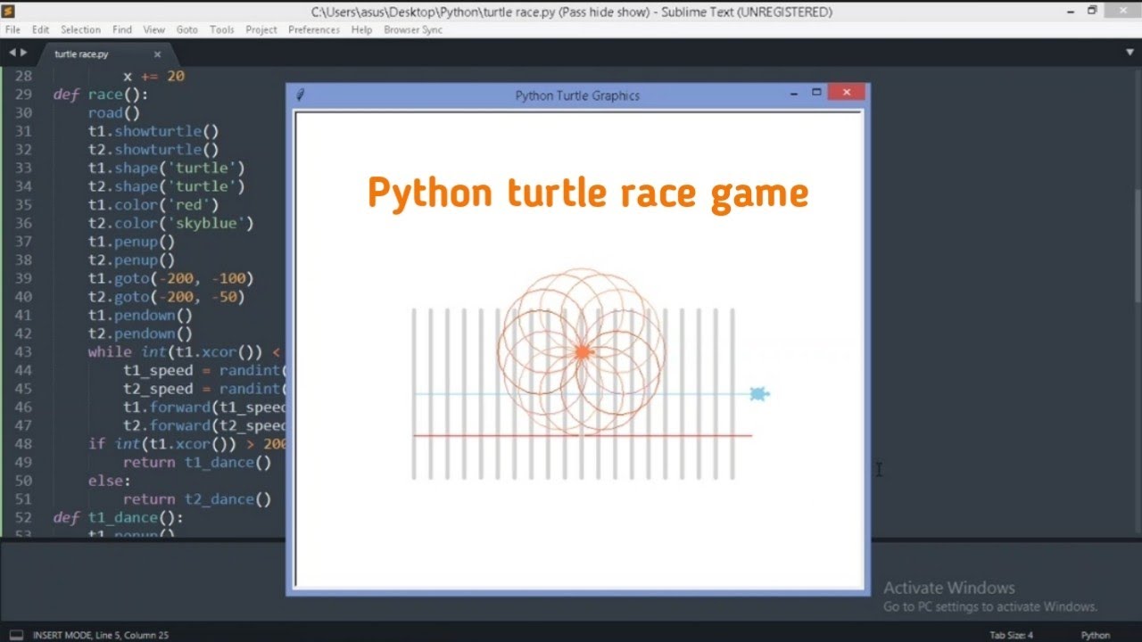 Python Turtle Race Game Python Tutorial Python For Beginners Youtube