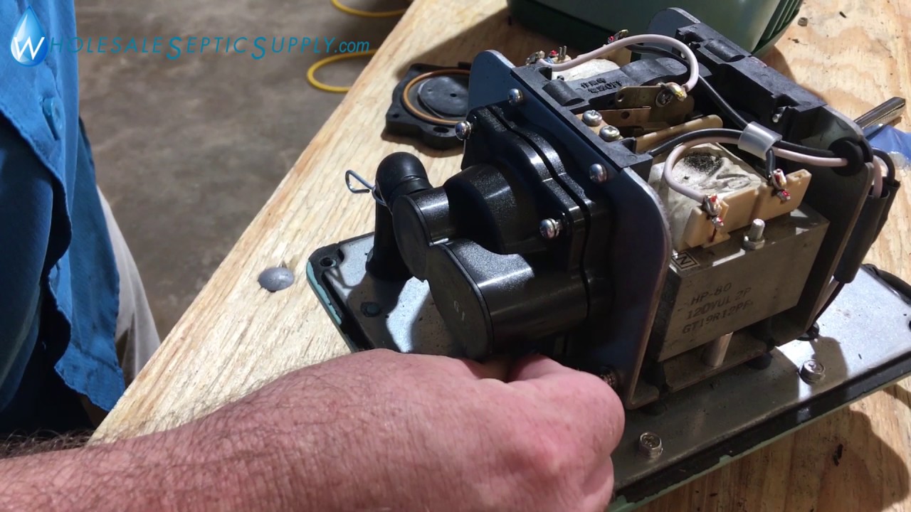 Hiblow Hp 80 Aerator Rebuild How To Youtube