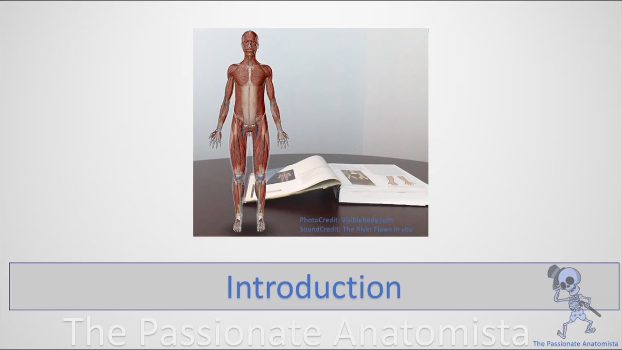 Introduction Youtube