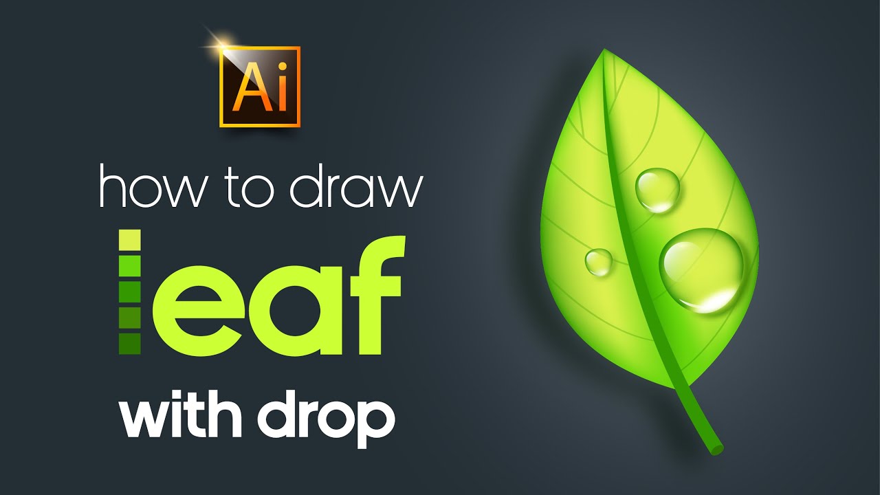 Leaf With Drop Adobe Illustrator Tutorial For Beginners Youtube