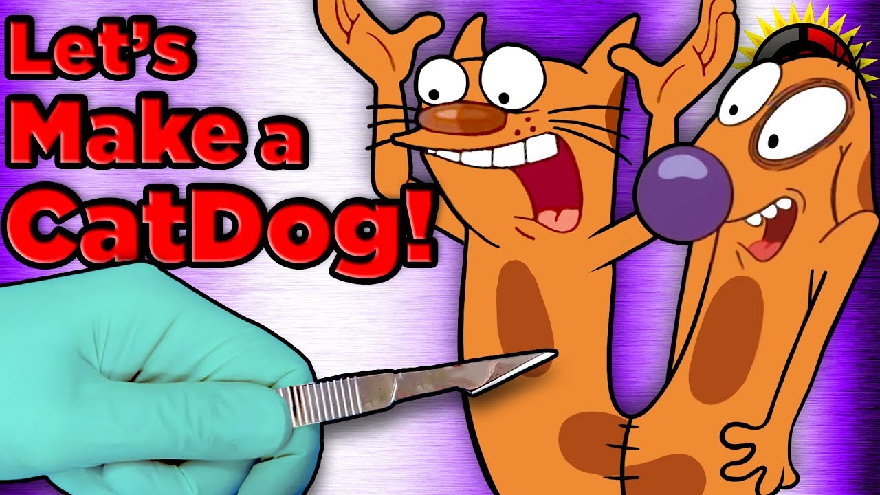 Film Theory The Secret To Fusing A Cat And Dog Nickelodeon Catdog