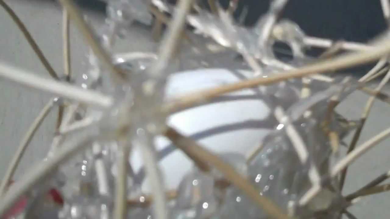 Physics Class Egg Drop Project Youtube