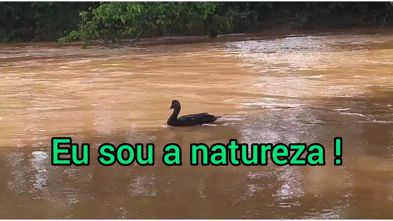 Eu Sou A Natureza Youtube