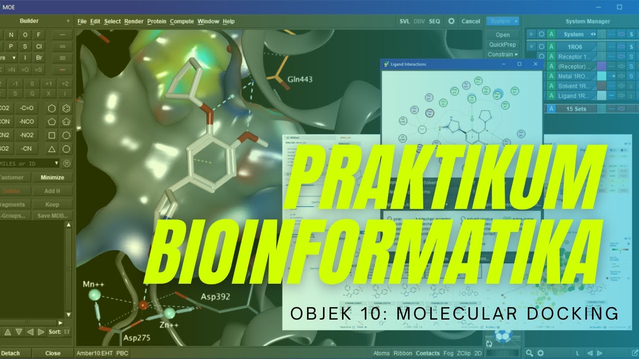Praktikum Bioinformatika Molecular Docking Youtube