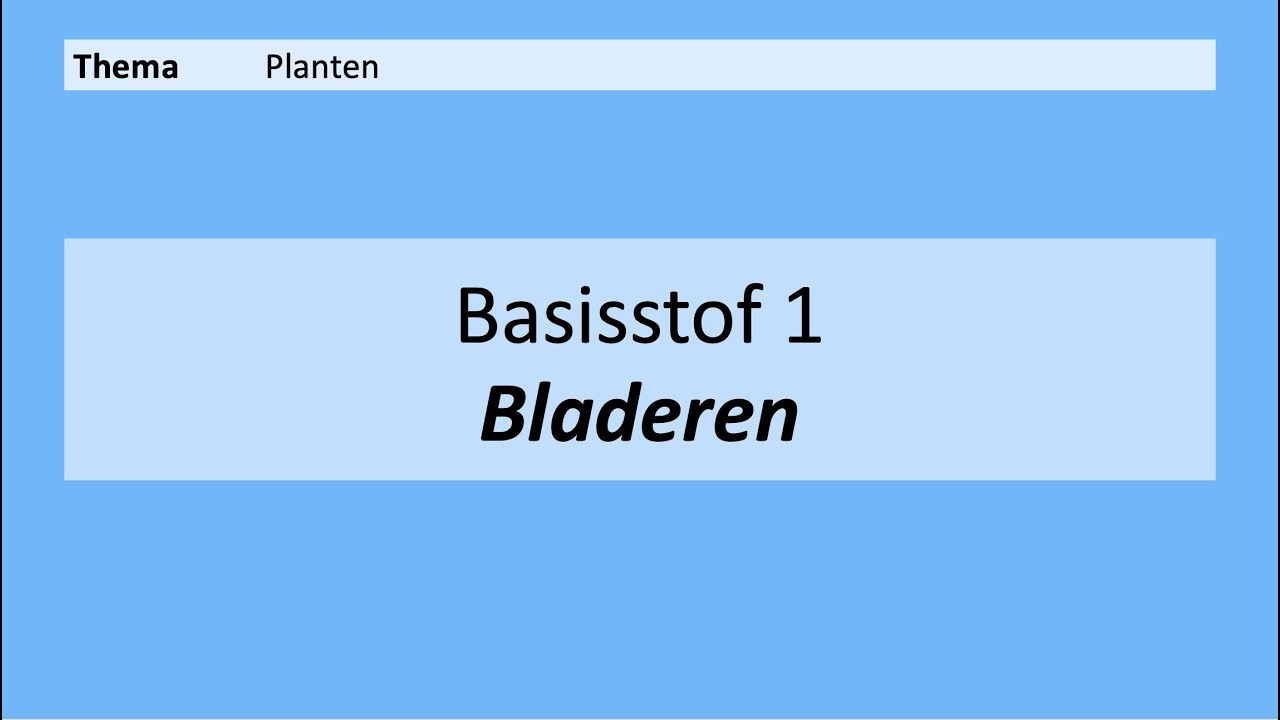 Vmbo 4 Planten Basisstof 1 Bladeren 8e Editie Youtube