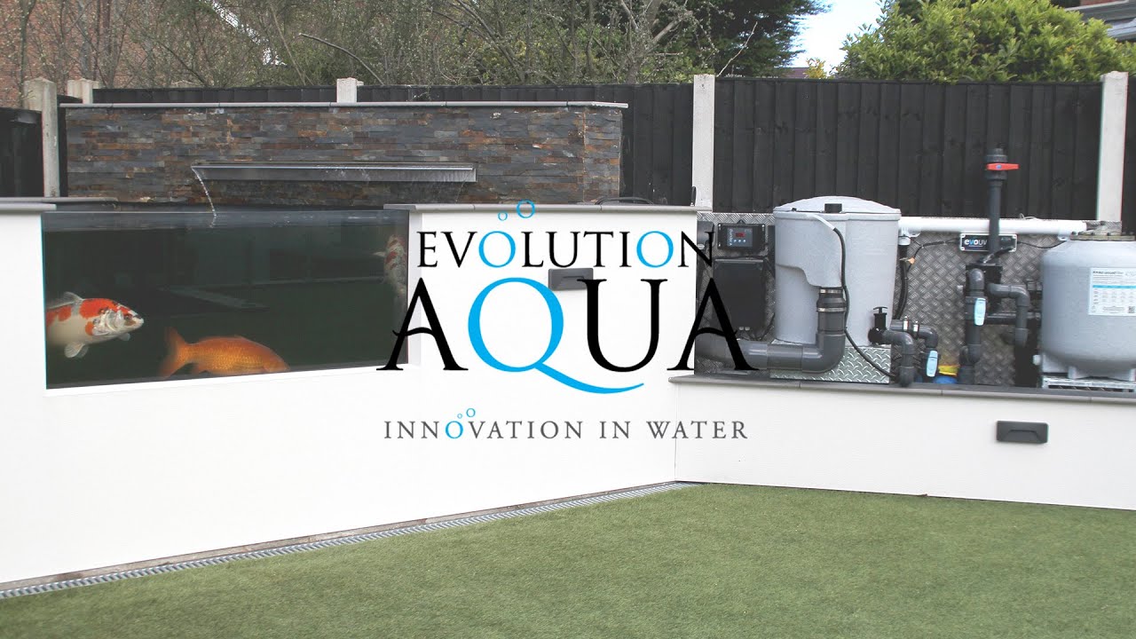 Introducing Evolution Aqua Youtube