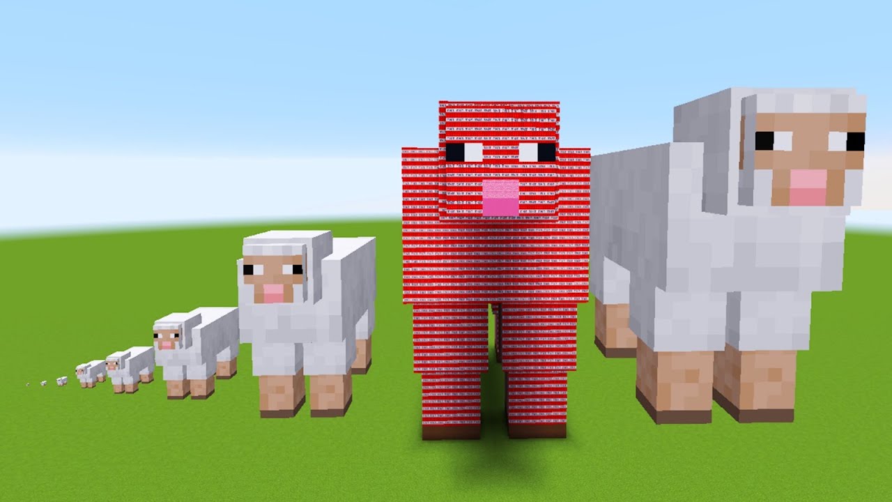 Sheep Experiment Shorts Youtube