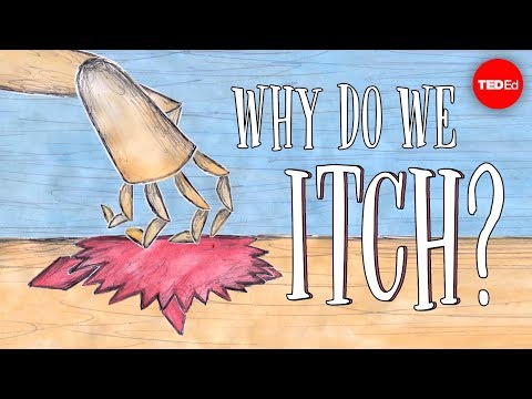 Why Do We Itch Emma Bryce Ted Ed