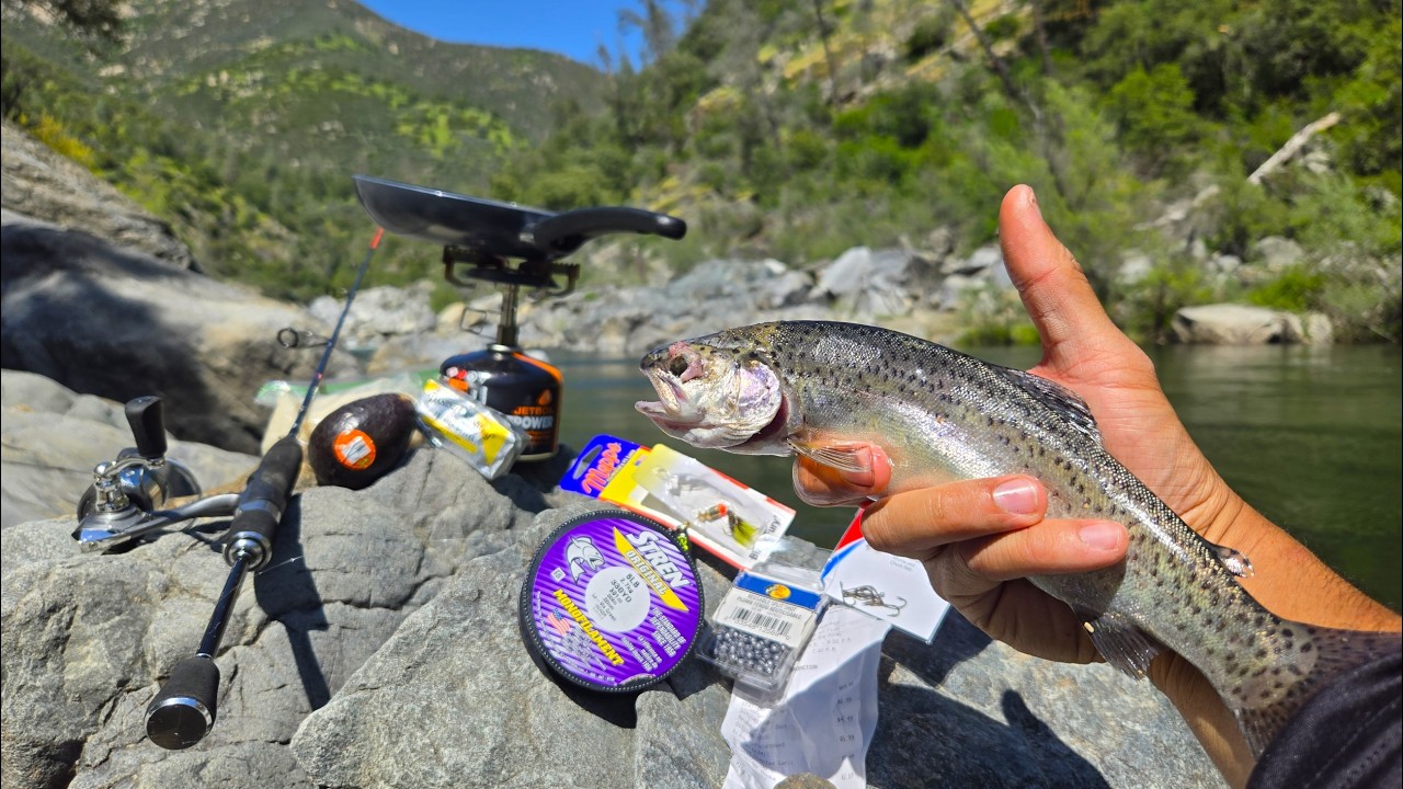 How To Fish Trout For Beginners In Rivers And Streams Catch And Cook