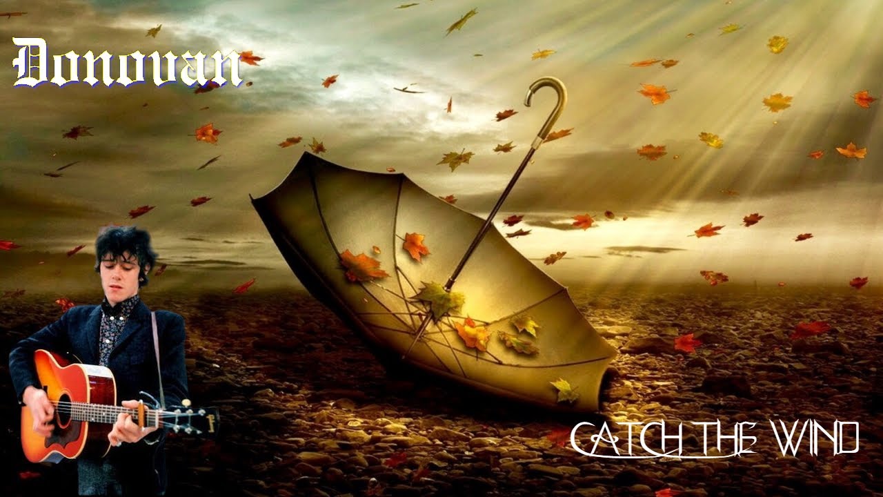 Donovan Catch The Wind Lyrics Improved Youtube