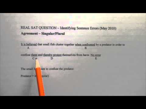Sat Writing Identifying Sentence Errors 33 Singular Plural Real