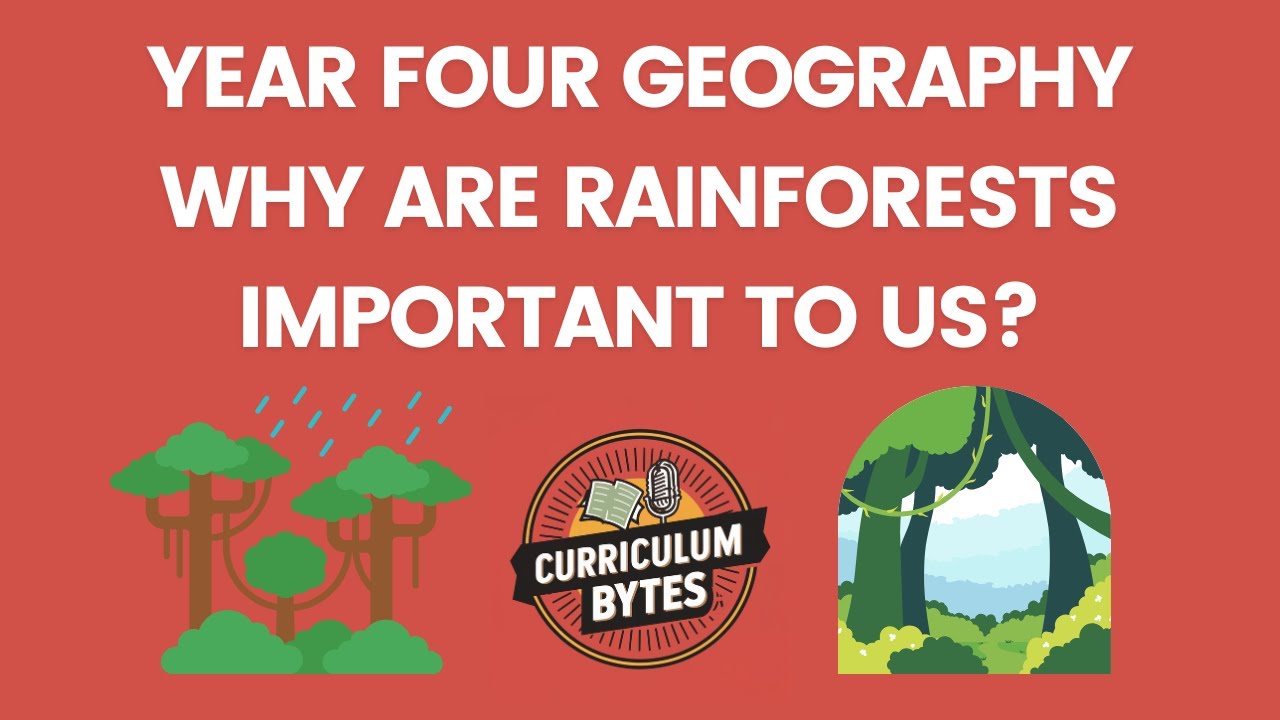 Year Four Geography Why Are Rainforests Important To Us Youtube