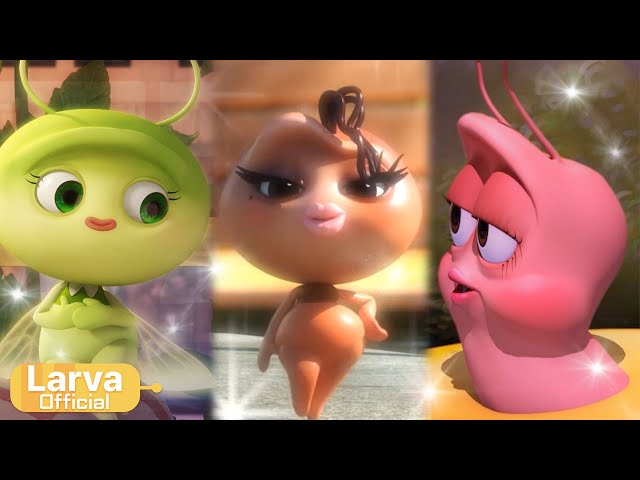 I M A Queencard рџ Larva Girls Animation Compilation Larva Tuba