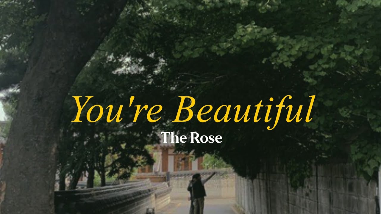 The Rose You Re Beautiful Lyrics Youtube