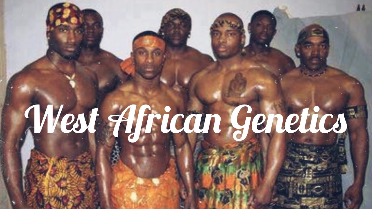 West African Genetics бґїбґ бґ бґ лўбµђбґ бґїбґ бґ Fбћѕбћўбџџбћ бћ бџўбћѕбџ бћ бћўfбџњбџћ Subliminal