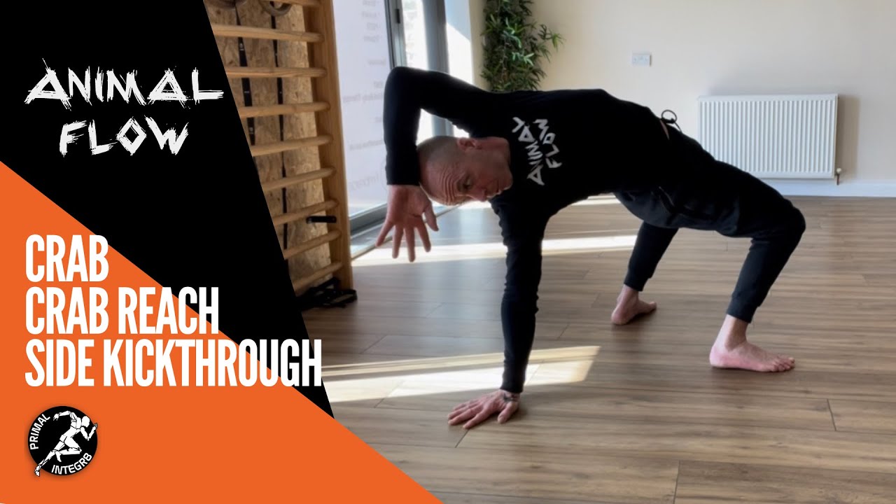 Animal Flow Sequence Crab Crab Reach Side Kick Thru Youtube