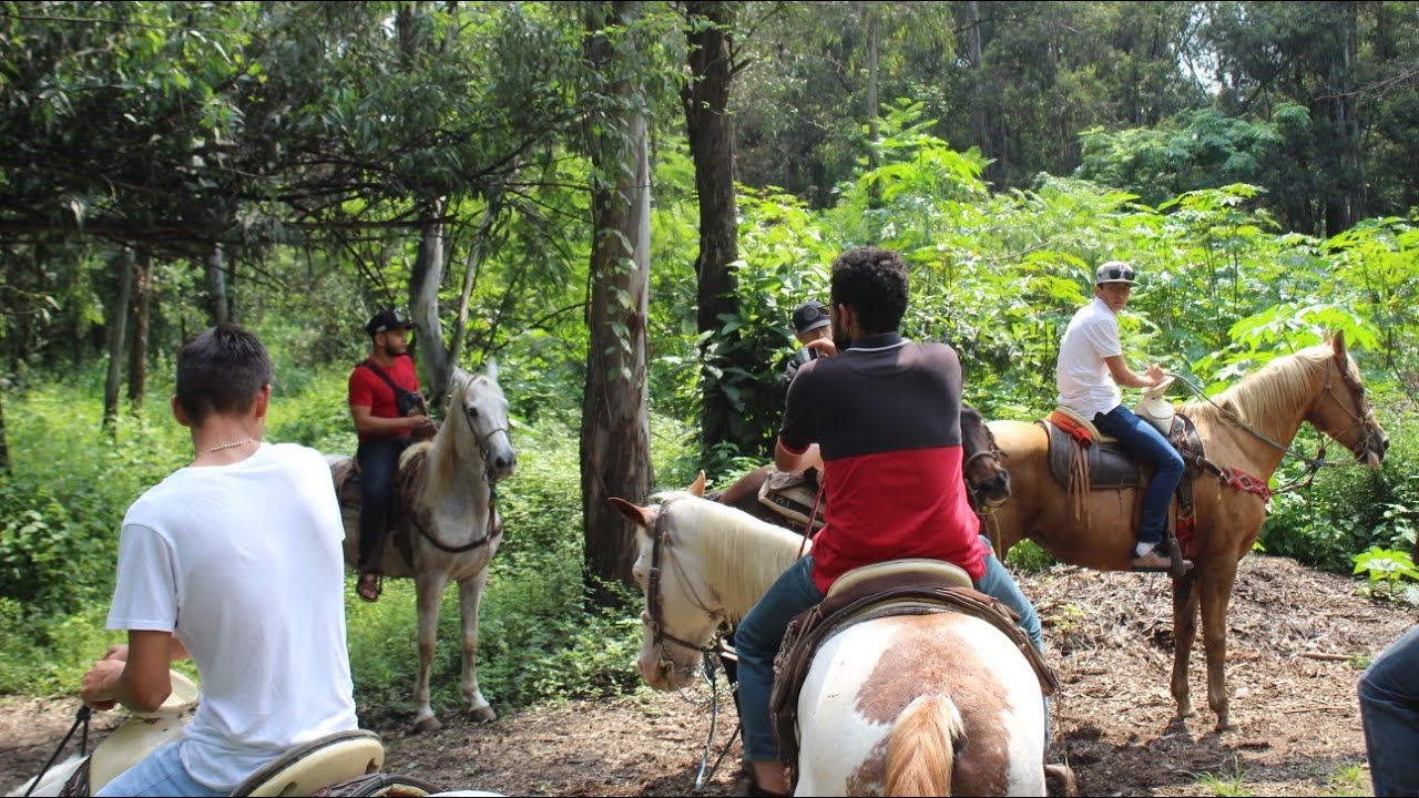 Bosque Los Colomos Nos Fuimos A Montar Caballo рџђћрџ ё Youtube