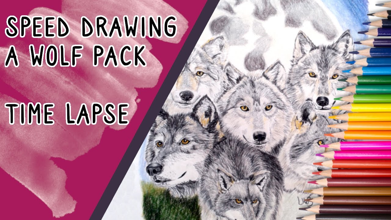 Speed Drawing A Wolf Pack Time Lapse Youtube