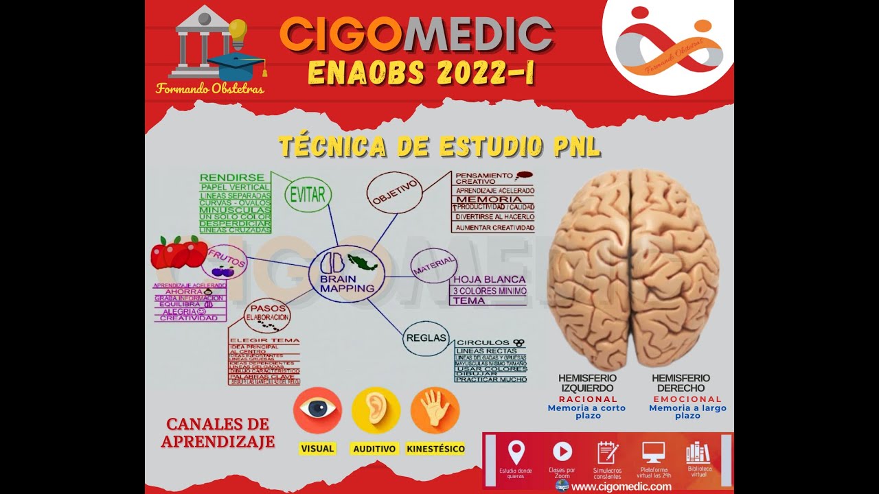 Técnica Brain Mapping Youtube
