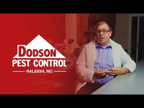 Dodson Pest Control Raleigh Nc Youtube